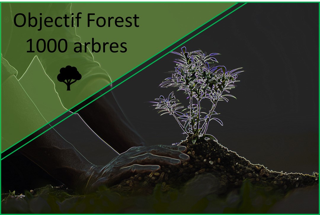 Objectif Forest - Collectes LIFE ONG